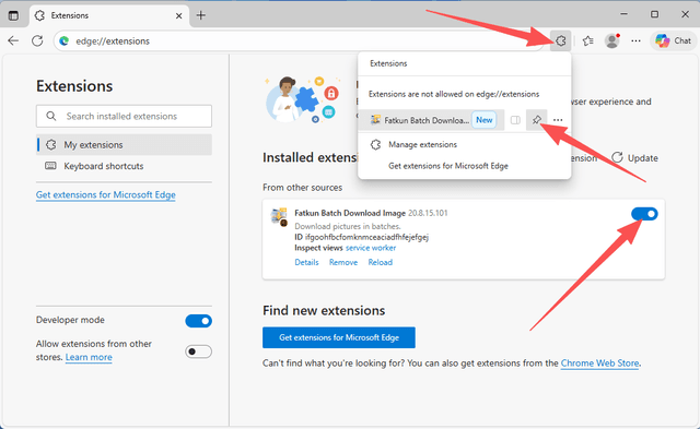 Chrome扩展安装教程 - Fatkun图片下载器 | 详细图文指导